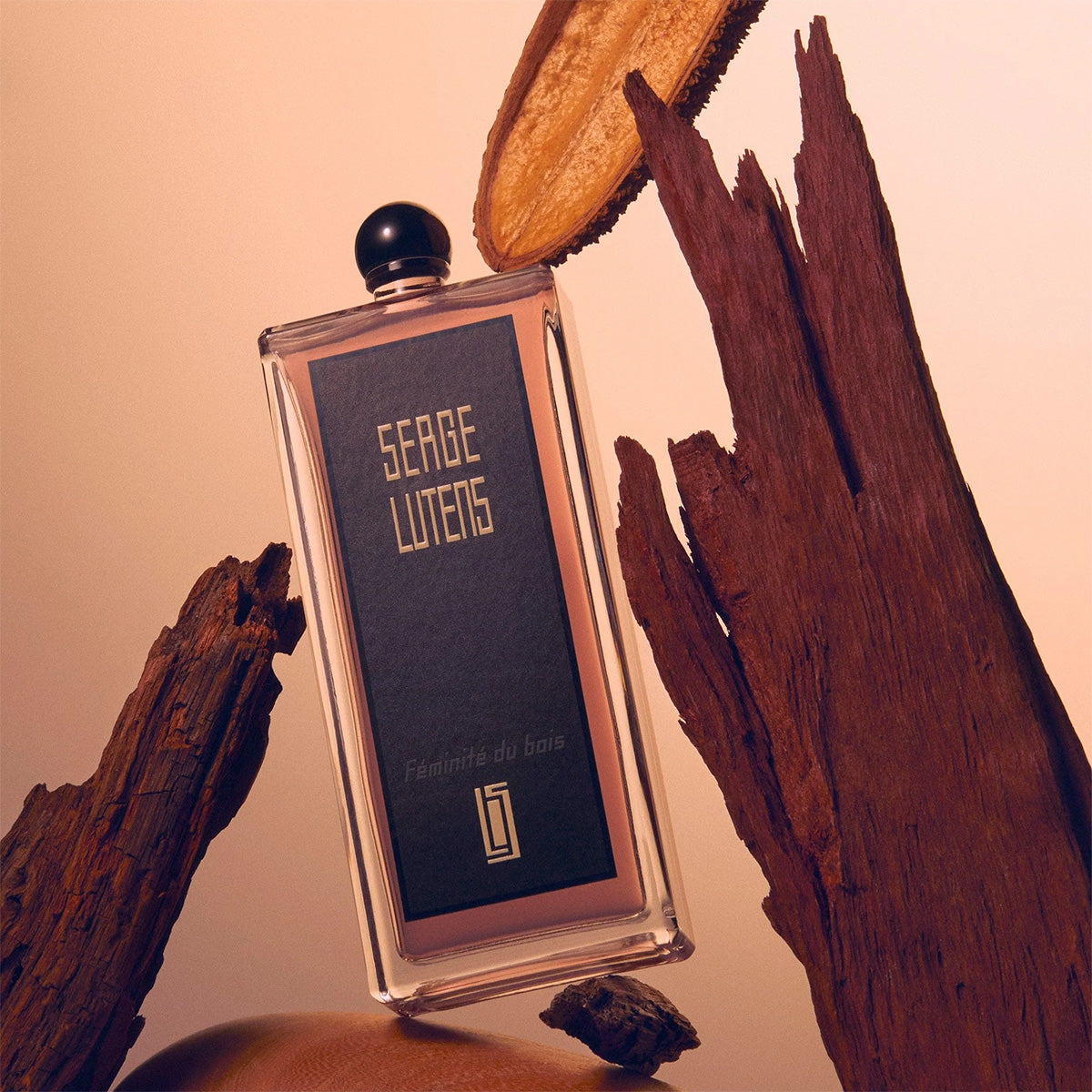 Feminite du bois store